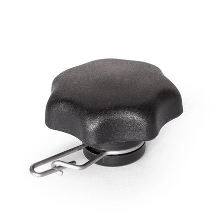 Star Knobs GN 6336.13 | Ganter