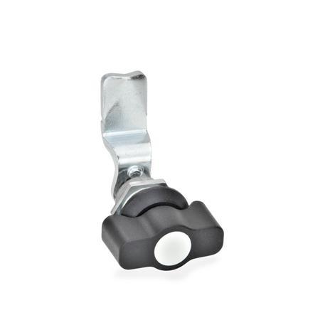 Rotary Clamping Latches GN 516 | Ganter