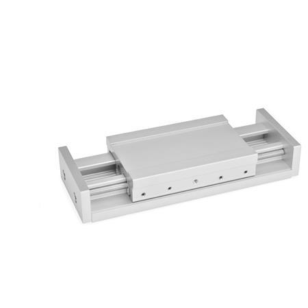 GN 900 Adjustable Slide Units, Aluminum | Ganter Standard Parts