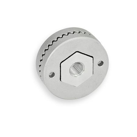 Serrated Locking Plates GN 188 | Ganter