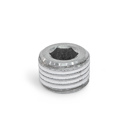Threaded Plugs DIN 906 | Ganter