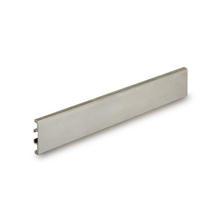 Retaining Profiles GN 6473.1 (PRA-GLB / PRB-GLB) | Ganter