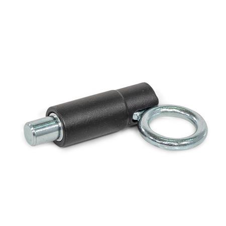 Rastbolzen GN 722.4 | Ganter