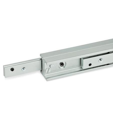Telescopic Linear Slides GN 2408 | Ganter