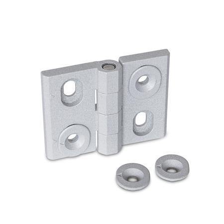 Hinges GN 127 | Ganter
