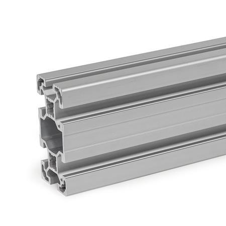 Aluminum Profiles GN 10b | Ganter