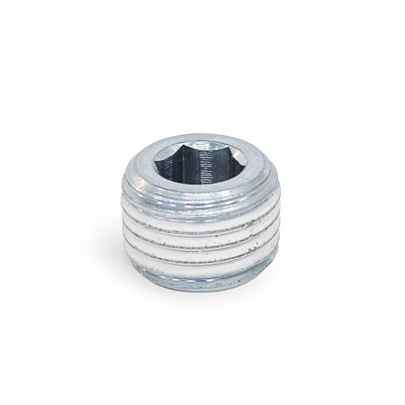 Threaded Plugs DIN 906 | Ganter
